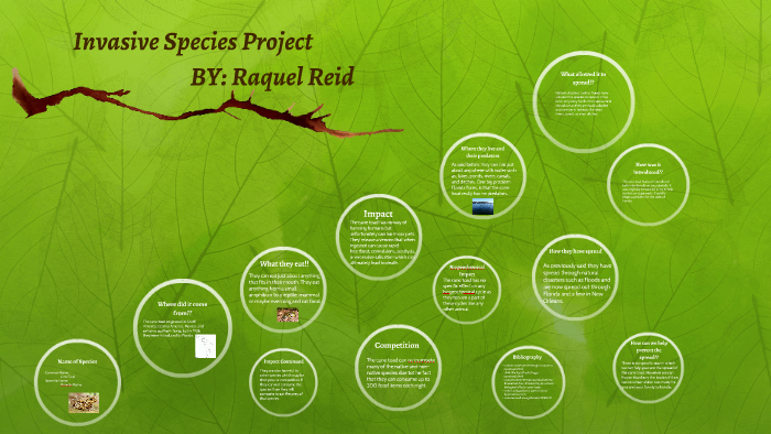 Invasive Species Project by Raquel Reid on Prezi