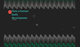 How a human body decomposes by on Prezi