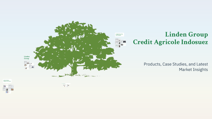 Introduction to Our Company and Offerings by Varlin Tan on Prezi