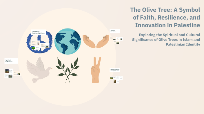 The Olive Tree: A Symbol of Faith, Resilience, and Innovation in ...