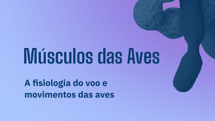 Músculos das Aves by João Pedro Borel on Prezi