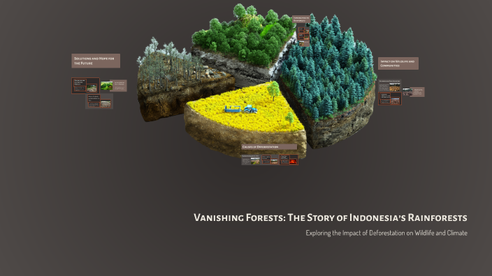 Vanishing Forests: The Story of Indonesia’s Rainforests by Amazing ...