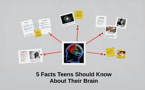 5 Facts Teens Should Know ABout Their Brain by Cara Homberg on Prezi