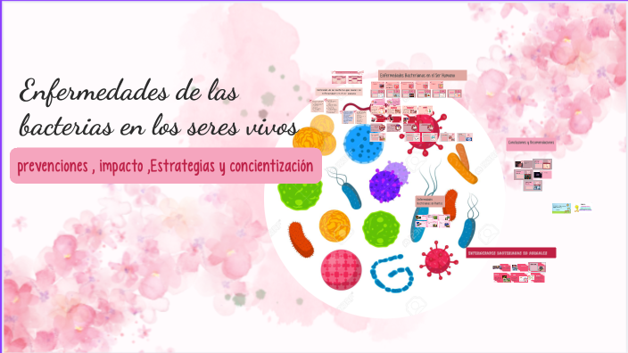 Enfermedades de las bacterias en los seres vivos by Sulma milena Castro ...