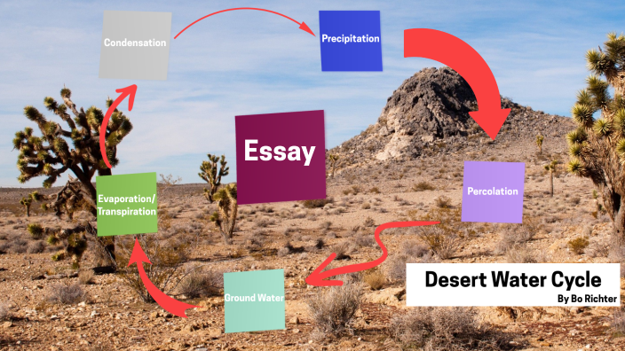 Desert Water Cycle by Bp Richter on Prezi