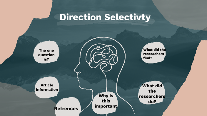Direction selectivity development by iman farah on Prezi