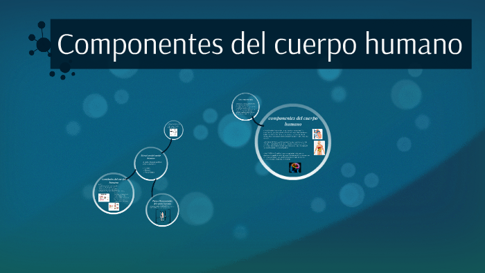Componentes del cuerpo humano by Nataly vasquez on Prezi