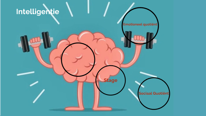 Soorten Intelligentie by Toon Kunnen on Prezi