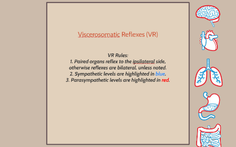 Viscerosomatic Reflexes by Dominic King on Prezi