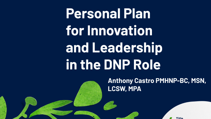 Personal Plan for Innovation and Leadership in the DNP role by anthony ...