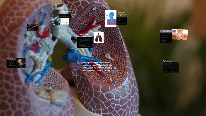 Effects of Cigar Smoking on Lung Function by Molly Cogan on Prezi