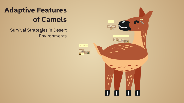 Adaptive Features of Camels by Divya Gupta on Prezi