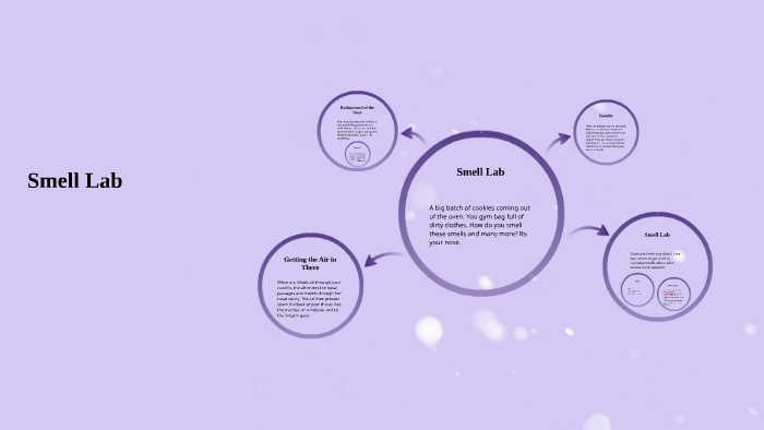 Smell Lab by Shayla Hunter on Prezi