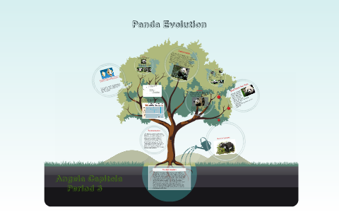 Panda Evolution by angela capitola on Prezi