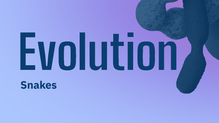 Evolution of Snakes by Brooke Sheffield on Prezi