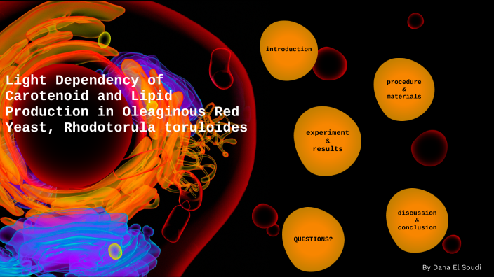 How Light Affect Carotenoid and Lipid Production in Oleaginous Red ...