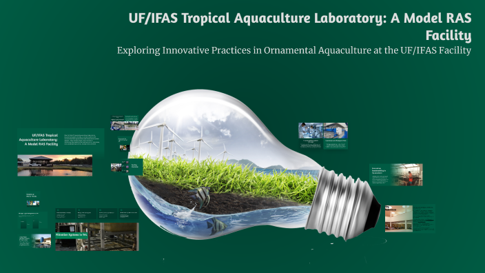 UF/IFAS Tropical Aquaculture Laboratory: A Model RAS Facility by justin ...