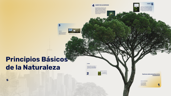 Principios Basicos de la Naturaleza by Sebastian Duran Moreno on Prezi
