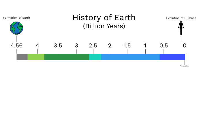 Horseshoe Crab Timeline by IMET Directors Office on Prezi