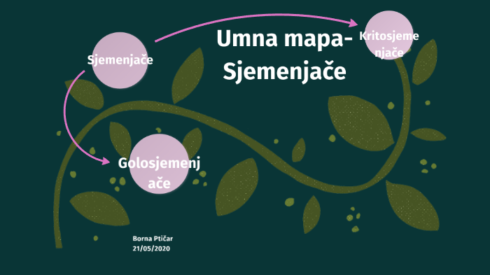Sjemenjače-umna mapa by Borna Born on Prezi
