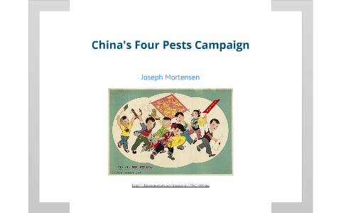Four Pests Campaign by Joseph Mortensen on Prezi