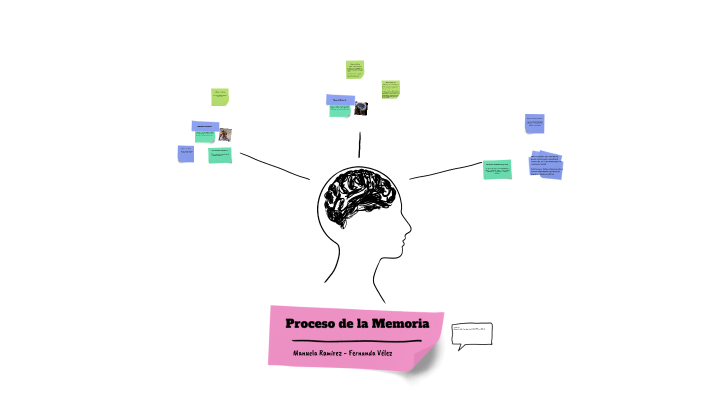 Proceso De La Memoria By Maria Fernanda Velez Murillo On Prezi