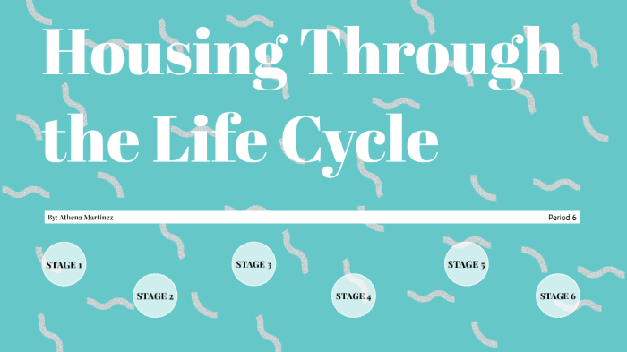 Housing Through The Life Cycle by Athena Martinez on Prezi