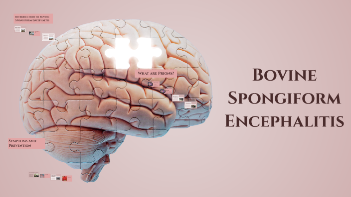 Bovine Spongiform Encephalitis by Nicole Alvayero on Prezi