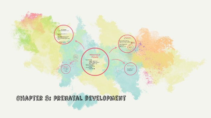 Chapter 3: prenatal development by Jeremy Wise Chapter 3: prenatal development by Jeremy Wise