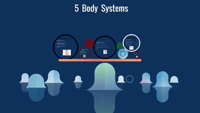 5 body systems by Joe Rose on Prezi