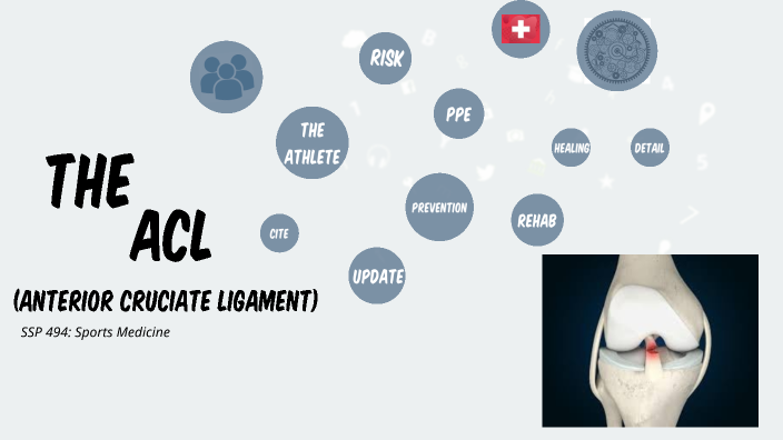 ACL tear by Katlyn Monroe