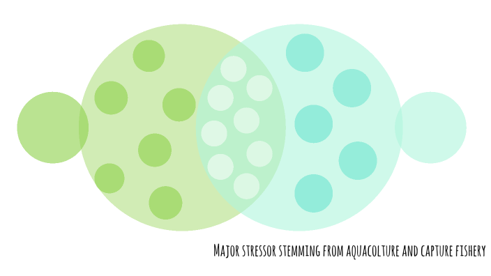 impatti acquacoltura by Francesca Andreini on Prezi