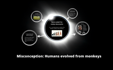 Humans evolved from monkeys misconception by Hartford AP Biology on Prezi