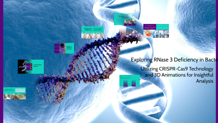 Exploring RNase 3 Deficiency in Bacteria by Radwa Emad on Prezi