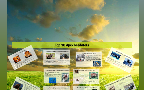 Top 10 Apex Predators by Samuel Chetty on Prezi