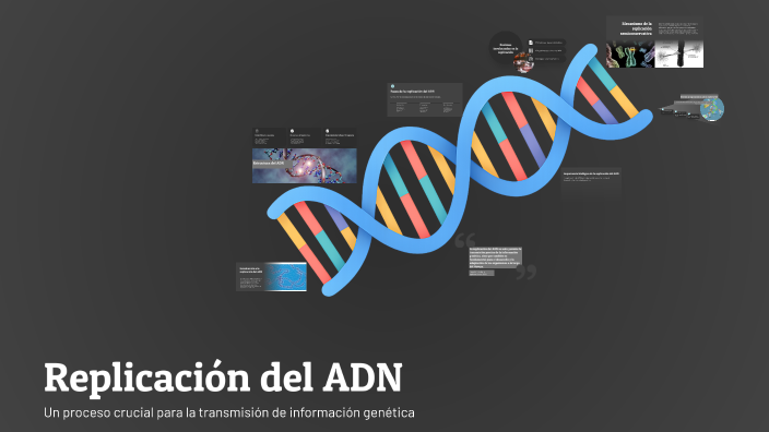 Replicación del ADN by Ángel Efraín Delgado Zamora on Prezi