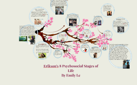 Erikson's 8 Stages of Life by emily le on Prezi