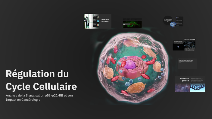 Régulation du Cycle Cellulaire by Gharbi Nour on Prezi