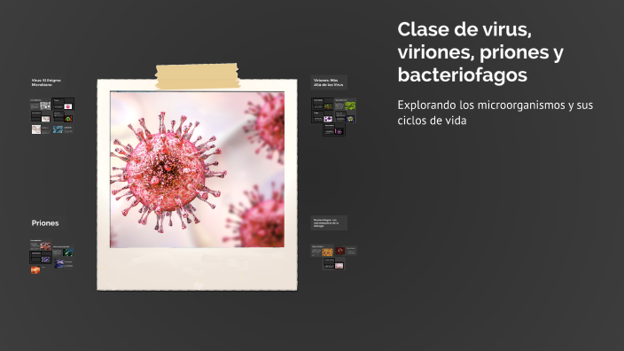 Clase de virus, viriones, priones y bacteriofagos by Michelle Rojas on ...