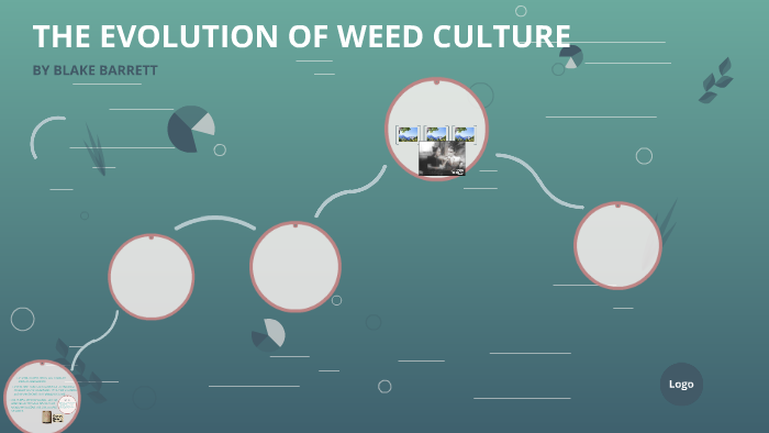 THE EVOLUTION OF WEED CULTURE by Blake Barrett on Prezi
