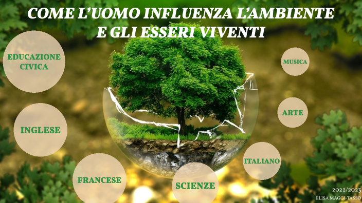 COME I CAMBIAMENTI CLIMATICI E L’UOMO INFLUENZANO L’AMBIENTE E GLI ...
