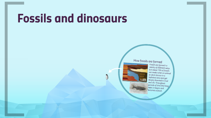 How fossils are formed by Michael Thompson on Prezi