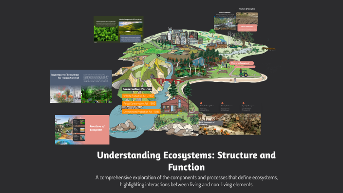 Understanding Ecosystems: Structure and Function by Adit Swing on Prezi