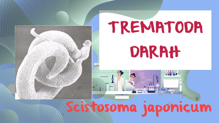 Trematoda darah by Dar Nomo on Prezi