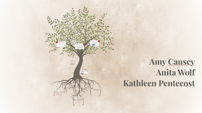 The Community Nursing Practice Model by Kathleen Pentecost on Prezi