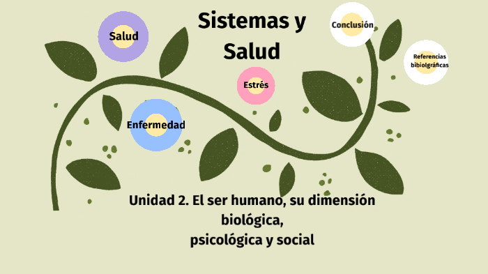 Sistemas Y Salud Unidad 2 El Ser Humano Su Dimensión Biológica