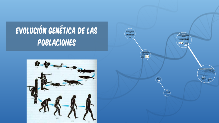 Evolución genética de las poblaciones by Bianka López on Prezi