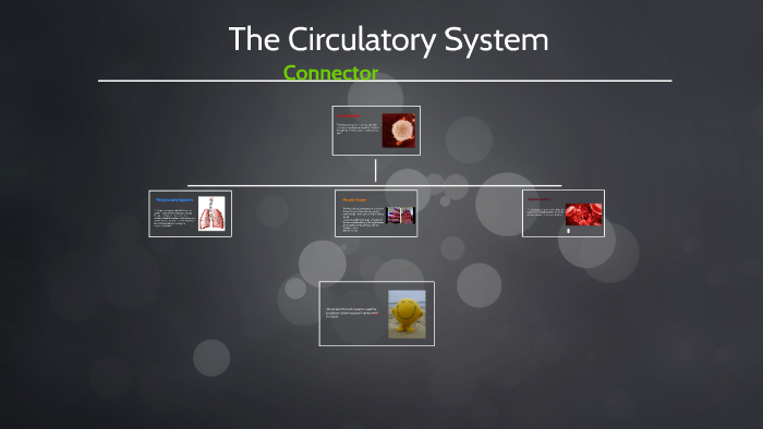 The Circulatory System by April Fox on Prezi