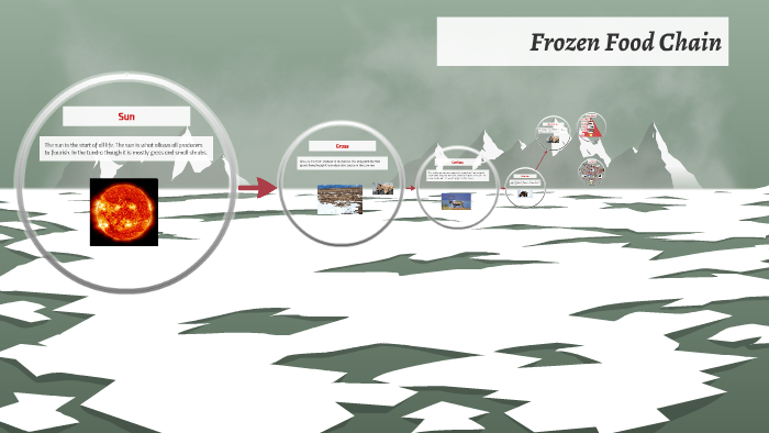 Frozen Food Chain by Kyle Arnold on Prezi