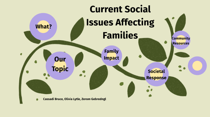 Current Social Issues Affecting Families by Cassadi Bruce on Prezi